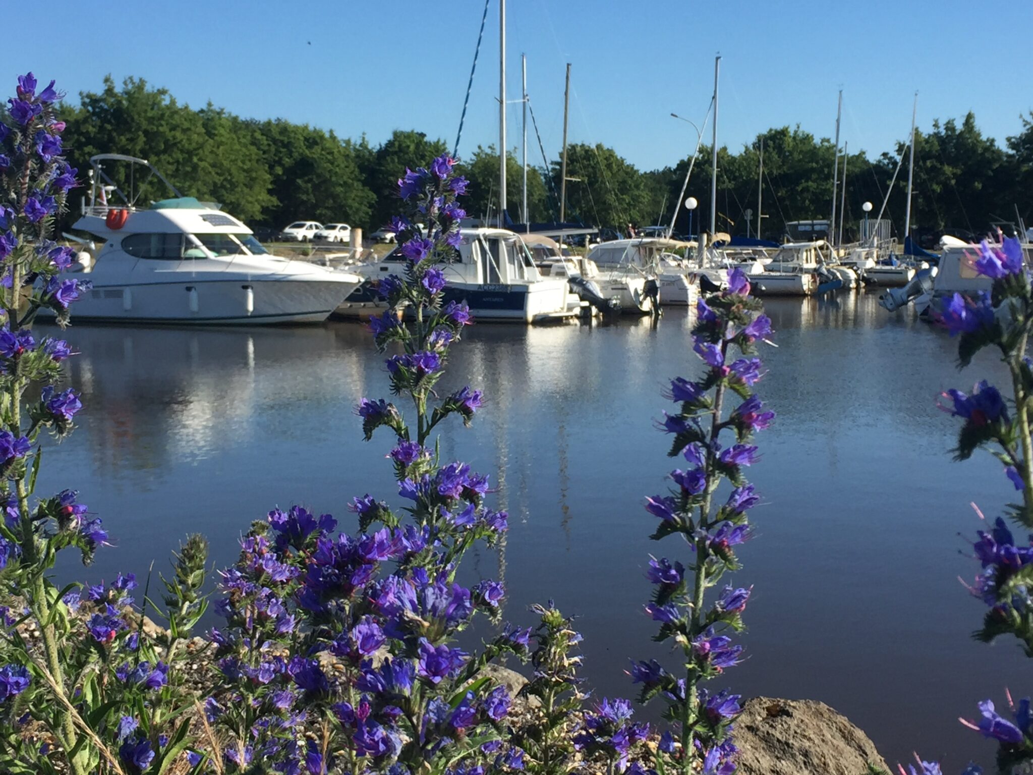 Au Teich • Les incontournables • Office de Tourisme du Teich 33470